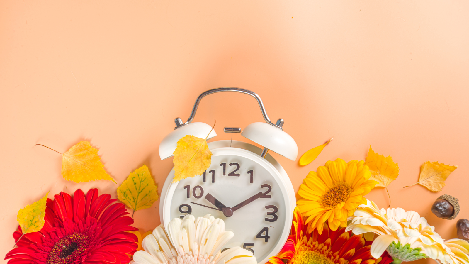 Common phrasal verbs for changes in spring - Learning English with Oxford
